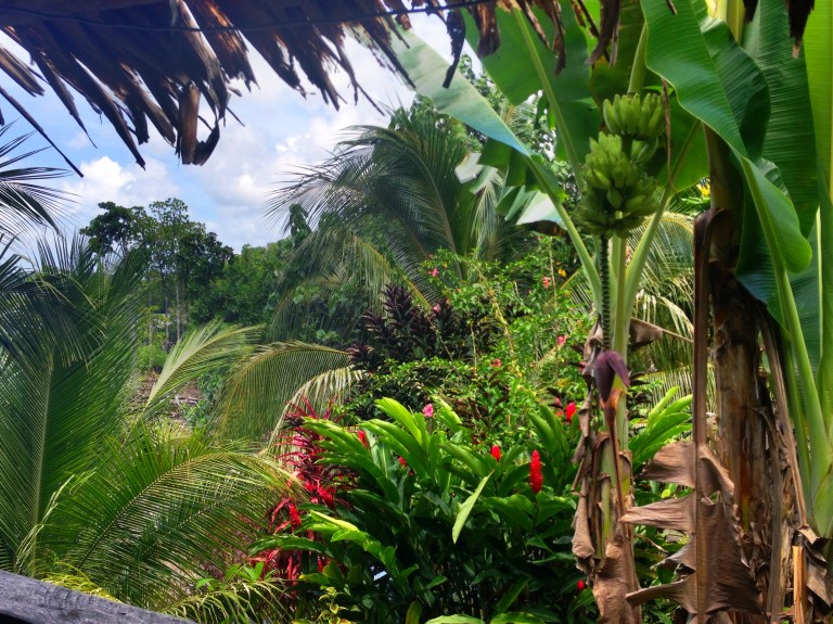 Solomon Islands – Homestay in Santa Isabel | Zooming Way Out